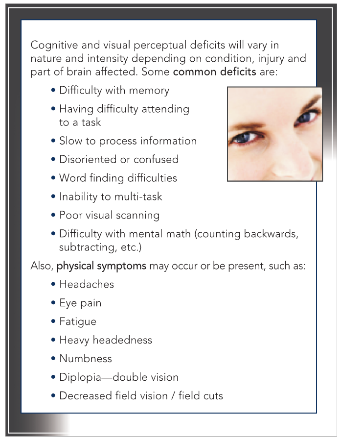 Cog and Visual Perception