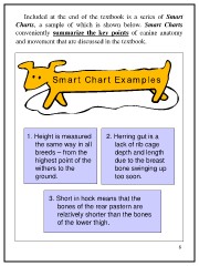 Practical Canine Anatomy and Movement