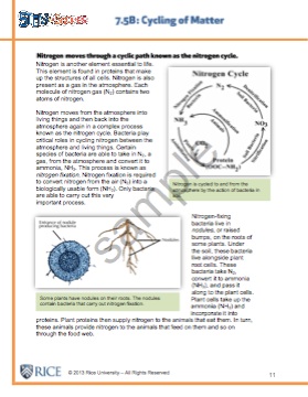 7th Grade STEMscopedia