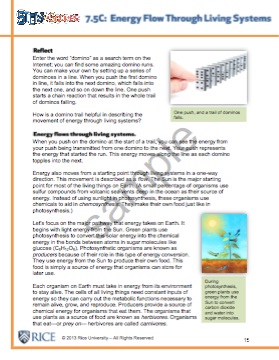 7th Grade STEMscopedia