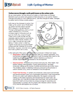 7th Grade STEMscopedia