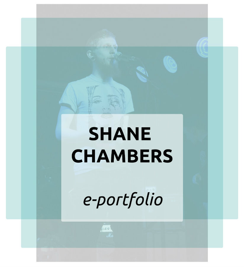E-portfolio Shane Chambers
