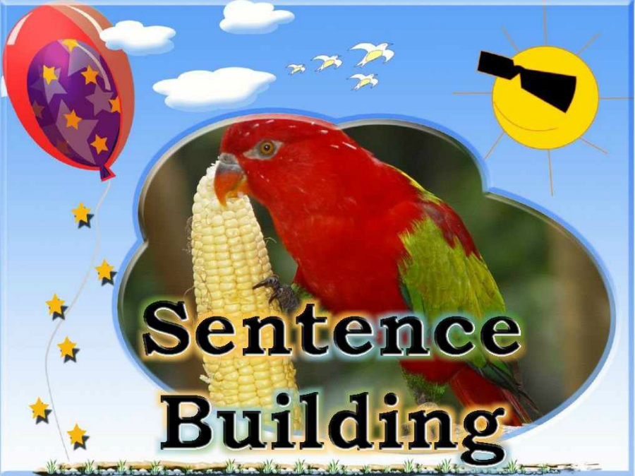 Sentence Building