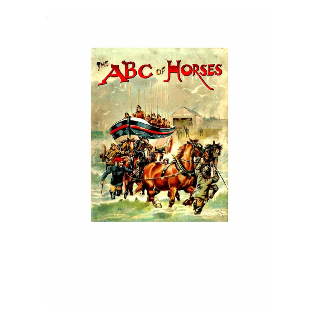 ABC of horses
