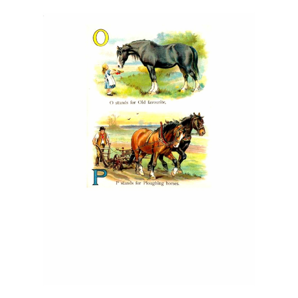 ABC of horses