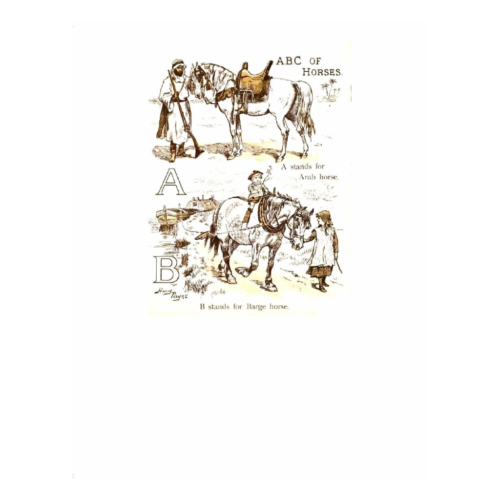 ABC of horses