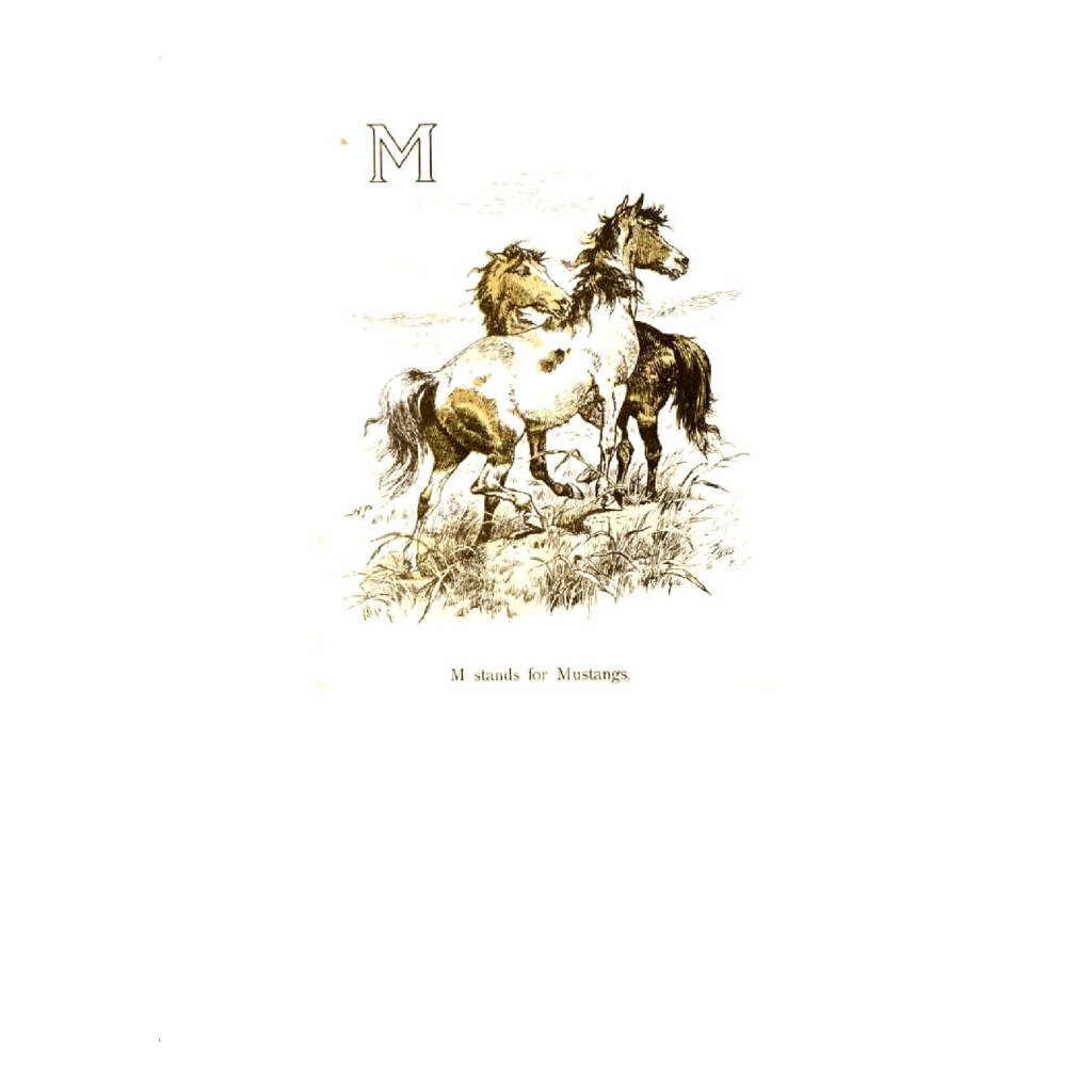 ABC of horses