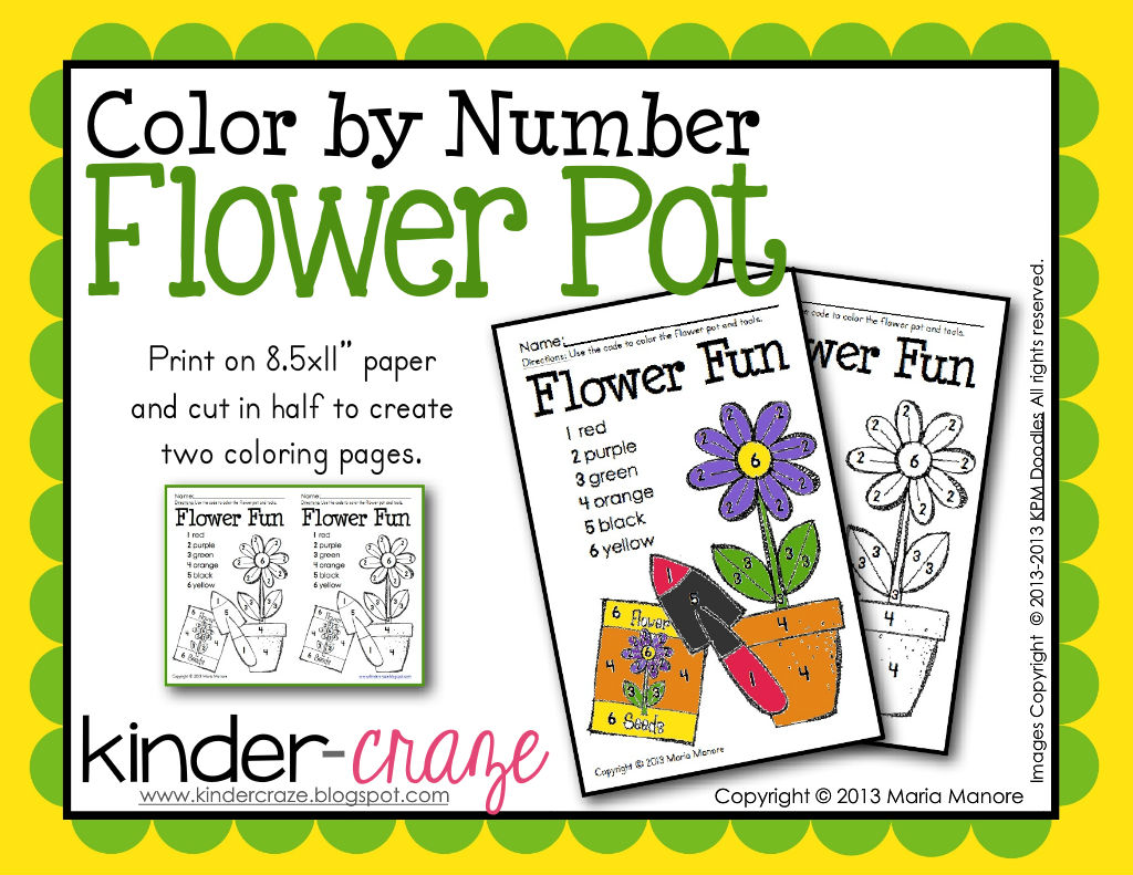Color by Number Flower Pot