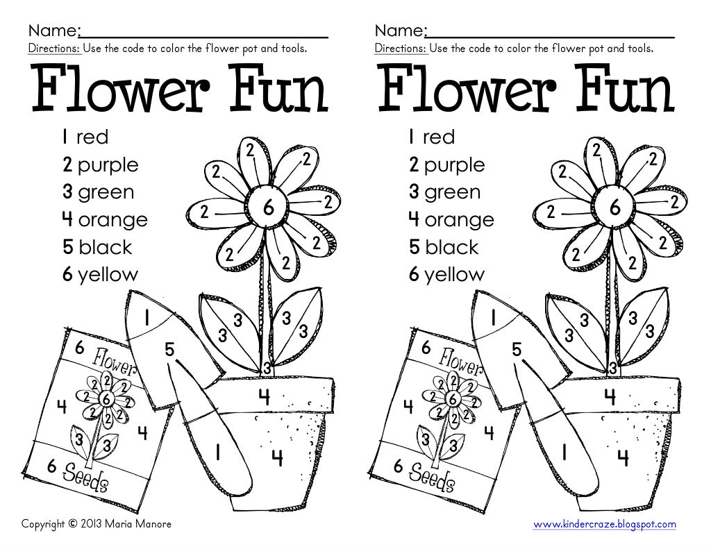 Color by Number Flower Pot
