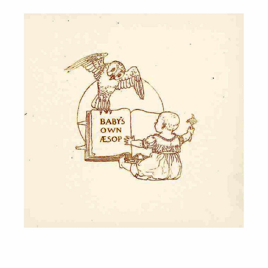baby's own Aesop
