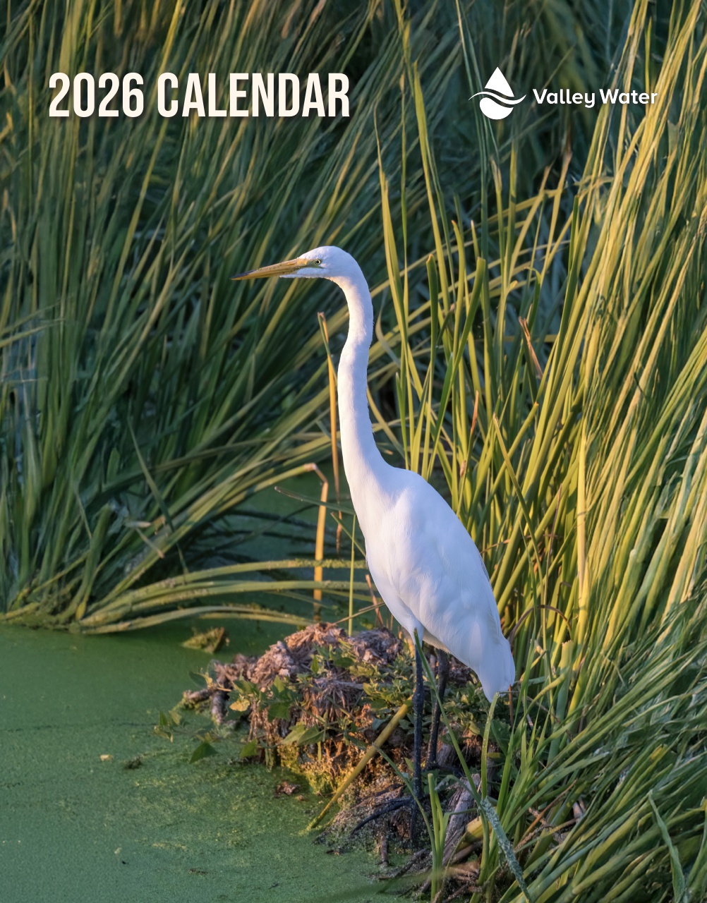 View the 2026 Valley Water calendar | Santa Clara Valley Water