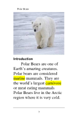 Polar Bear File.